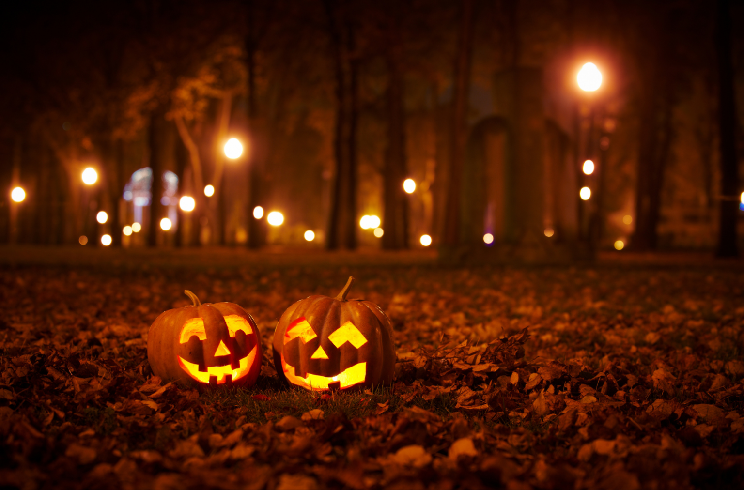 Ultimate Guide to Samhain- What You Need To Know - Real Life Witchery